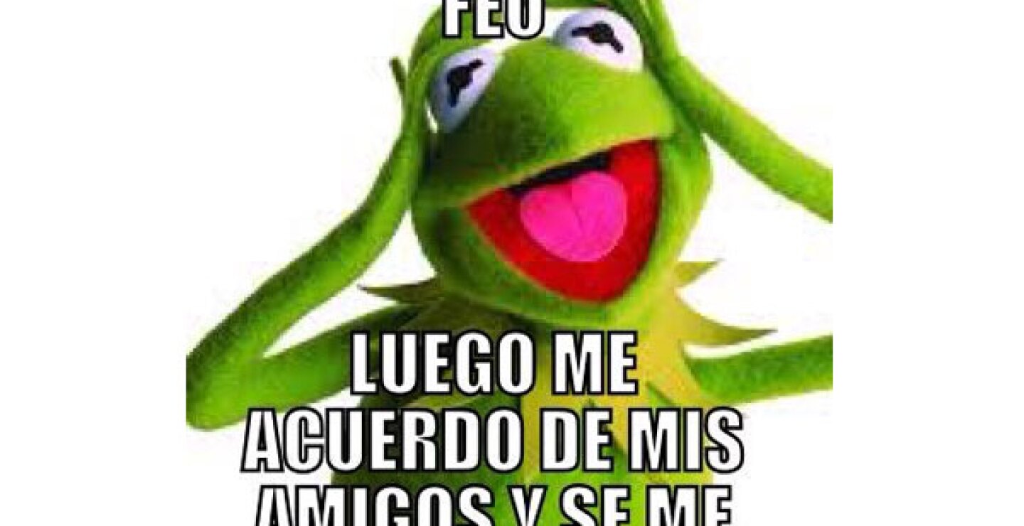 Los mejores memes de la Rana René - Shock