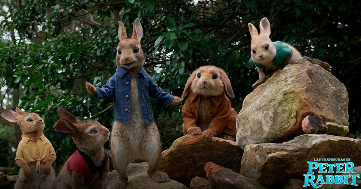 Llega a las salas de cine ‘Las Aventuras de Peter Rabbit’ - CaracolTV