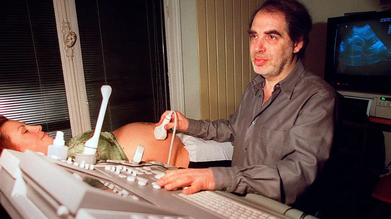 29 semanas de embarazo: el feto se gira y apoya la cabeza en el útero ...