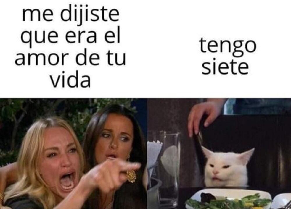 ¿De dónde salió el meme del gato? Esta es su historia y las mejores ...
