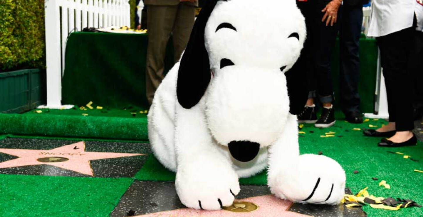 Con 65 años, Snoopy salta de las tiras cómicas al cine 3D - NoticiasCaracol
