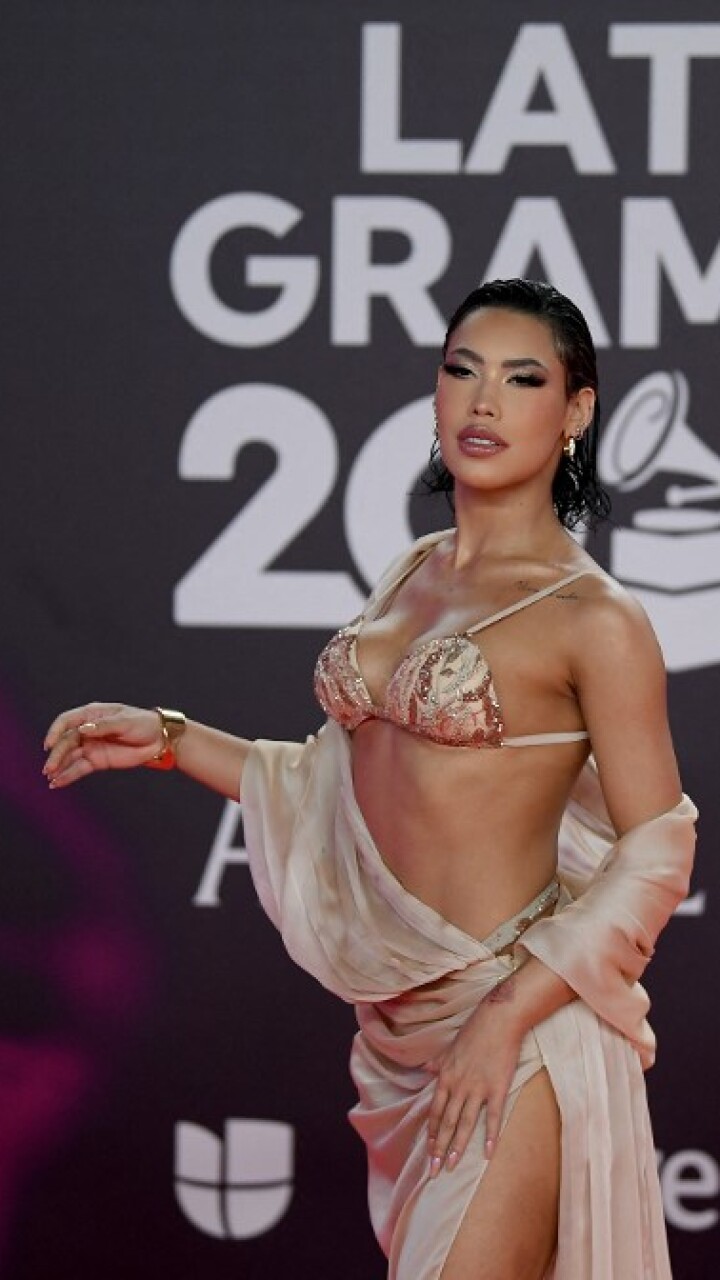 Latin Grammy 2023 Las Pintas De Karol G Shakira Camilo Y Otros