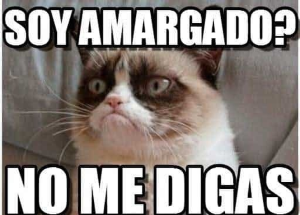 Vea los mejores memes de ‘Grumpy Cat’, la gata más famosa de Internet ...