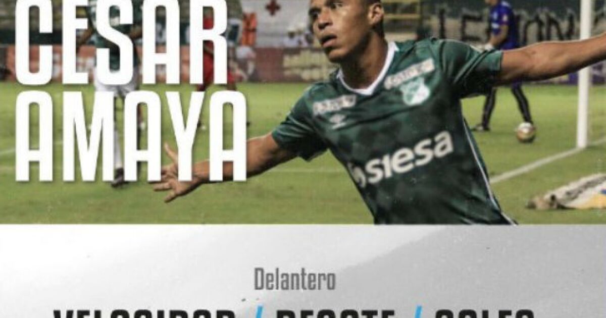 César Amaya es nuevo jugador del Once Caldas - GolCaracol