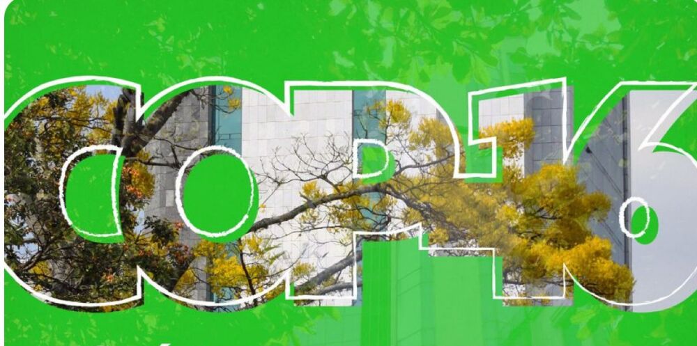 ¿Qué es la COP16?