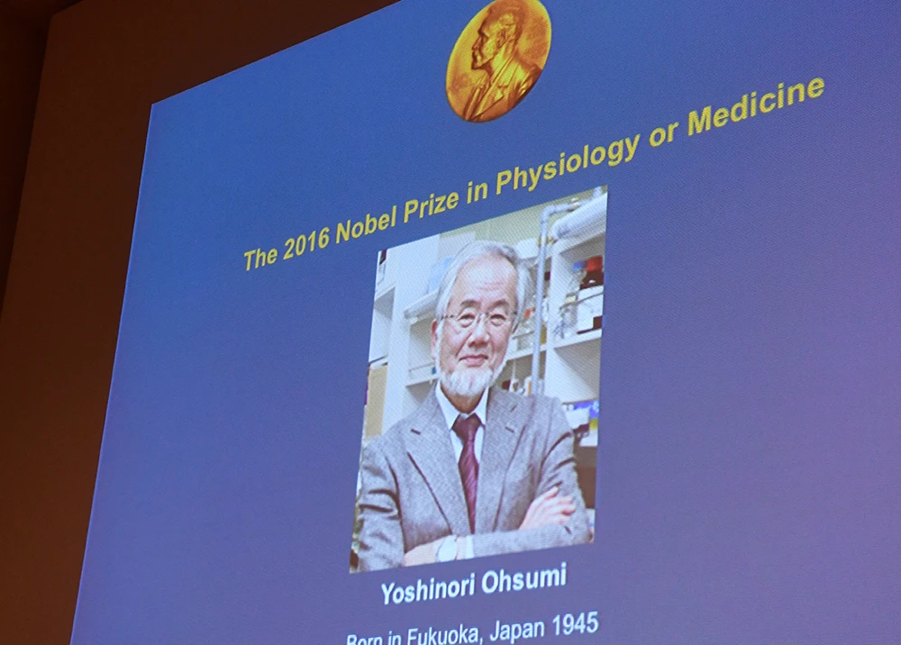 Los ganadores del Premio Nobel de Medicina en la última década - BluRadio