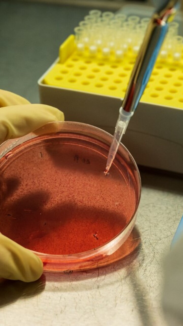 Encuentran 'diferencias sorprendentes' en el metabolismo de los niños ... Encuentran 'diferencias sorprendentes' en el metabolismo de los niños ...