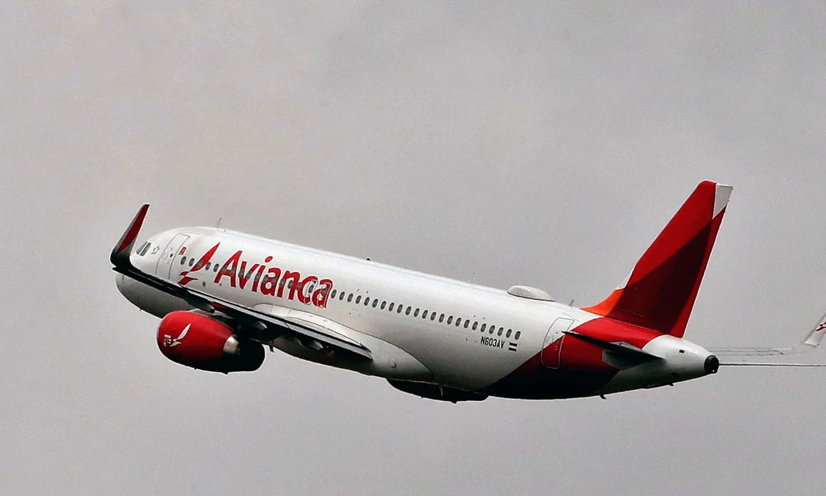 Avianca lanza nuevas rutas internacionales desde Medellín: frecuencia ...