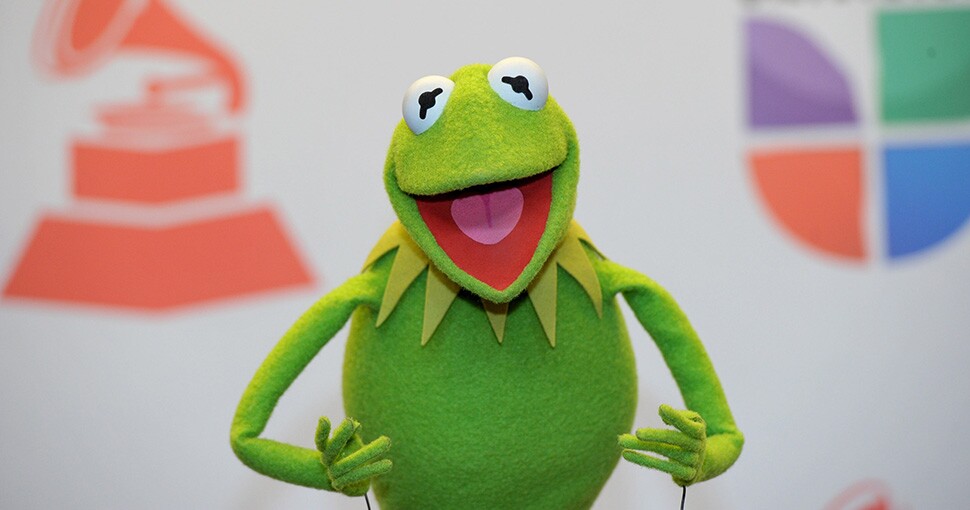 “Es el trabajo de mi vida”: Actor que dio voz a la rana René, furioso ...