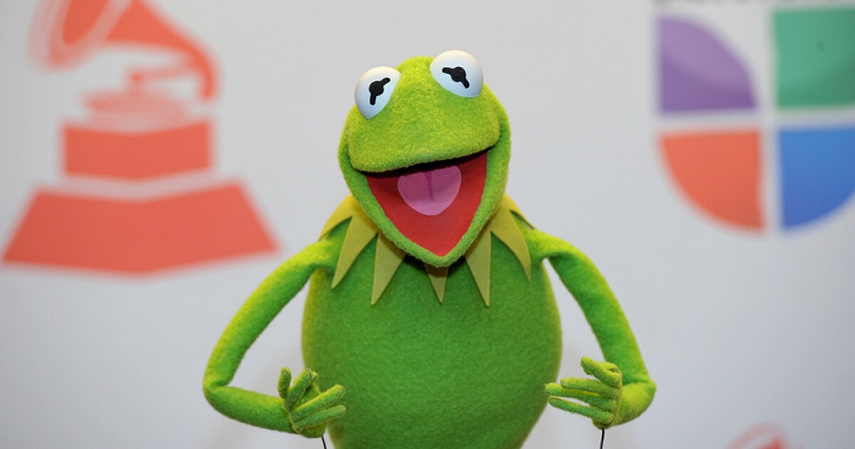 “Es el trabajo de mi vida”: Actor que dio voz a la rana René, furioso ...