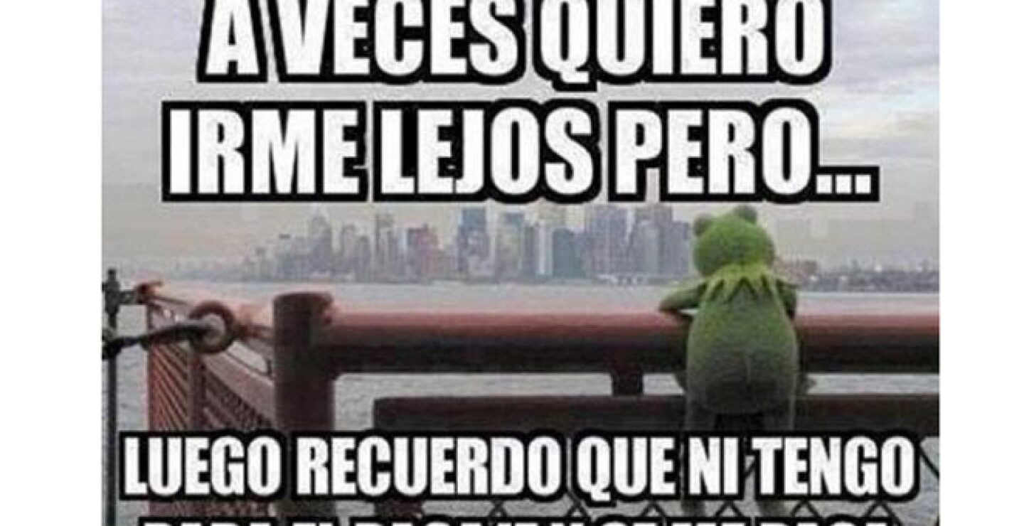 Los mejores memes de la Rana René - Shock