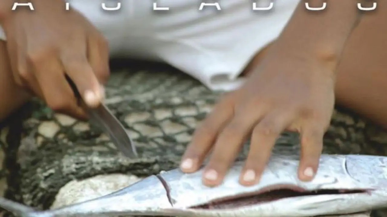 ‘Aislados’ es una metáfora de lo que es el mundo: Marcela Lizcano ...