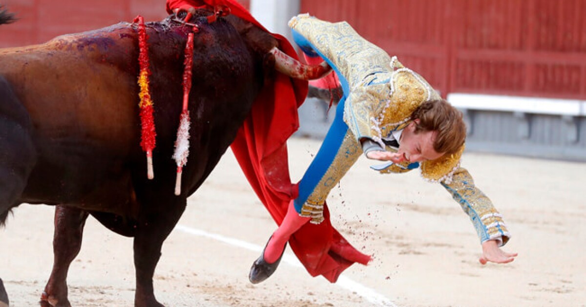 Violenta cornada atravesó el muslo del matador de toros Román Collado ...