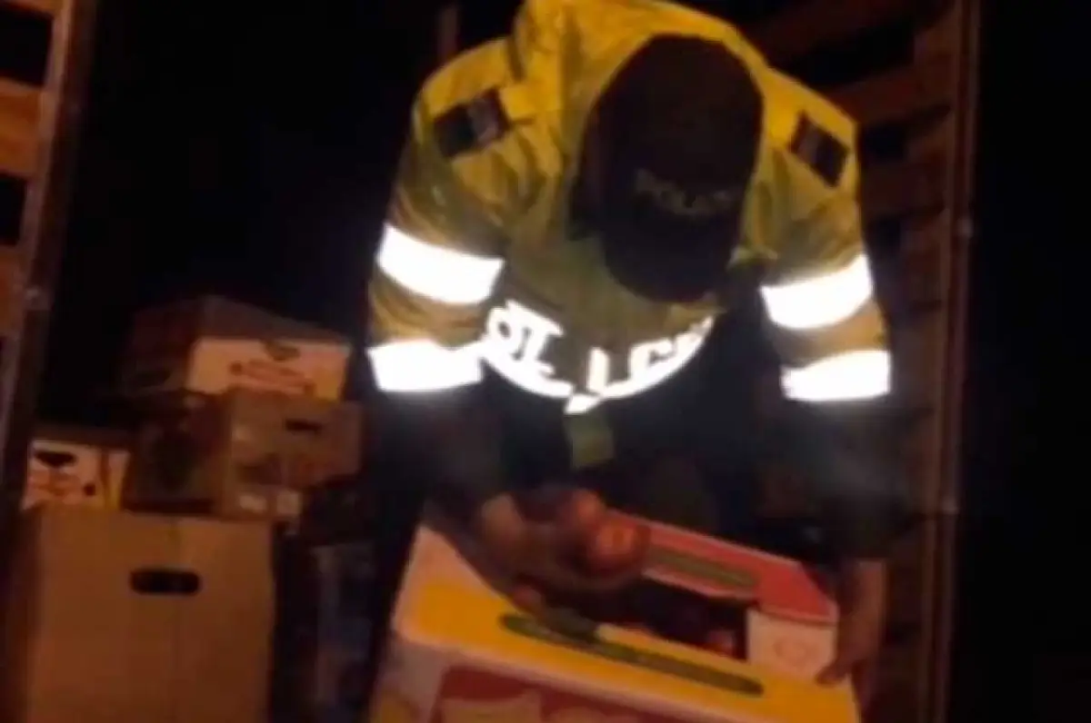 En Medellín decomisan más de 13 mil kilogramos de tomate chonto ...