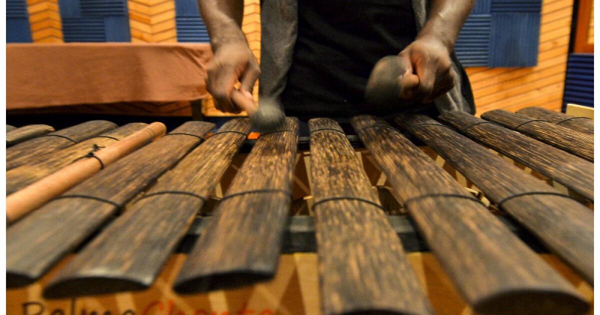 Herencia de Timbiquí estrena una novedosa app - BluRadio