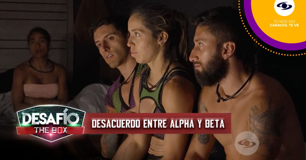 Alpha y Beta: la alianza entre los dos equipos del Desafío The Box se ve en peligro - CaracolTV